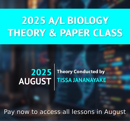 Sipsuru: 2025 Theory & Paper